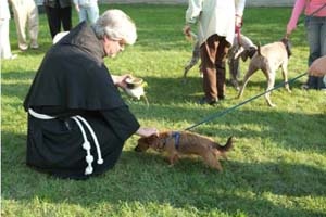 Mission and Ministry - Legacy - Symbols, Rituals, and Celebrations