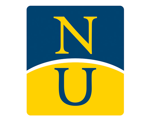 Neumann Knights Logo
