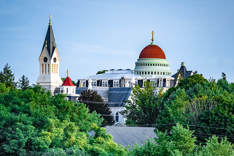 Core Experience | Neumann University